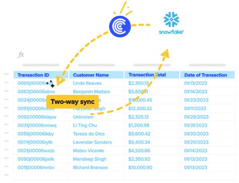 Connect Snowflake To Excel In One Minute Coefficient