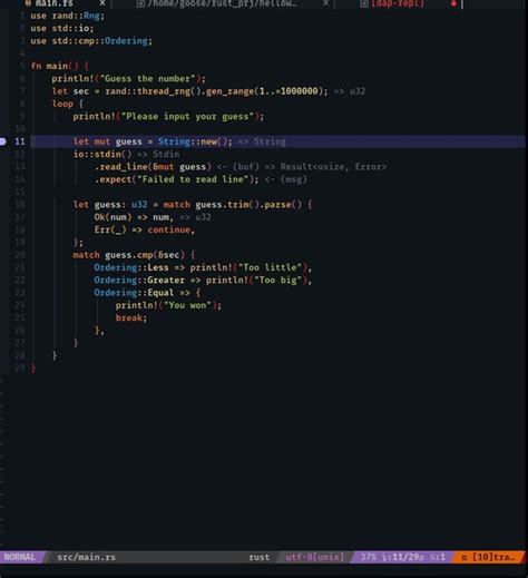 Cant Get Nvim Dap Codelldb To Work Properly The Debugger Steps Over