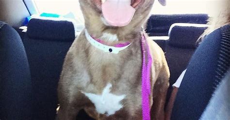 How Lucky Am I To Have Something That Makes Saying Goodbye So Hard Album On Imgur