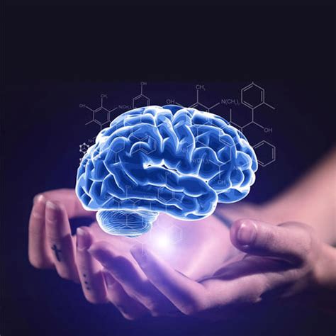 How To Apply Ferric Pyrophosphate To The Food Processing Industry Ruipu Biological