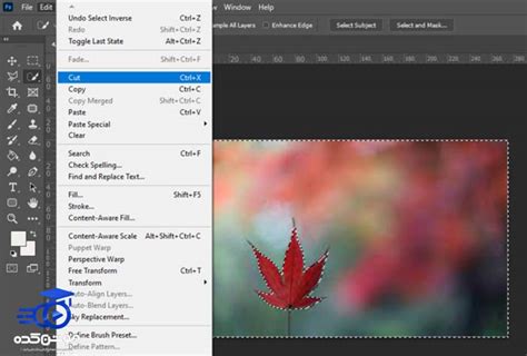 حذف بک گراند عکس در فتوشاپ 5 سایت رایگان حذف بک گراند عکس