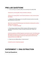PRE LAB QUESTIONS 4 Pdf PRE LAB QUESTIONS 1 List One Technique For Extracting DNA And One