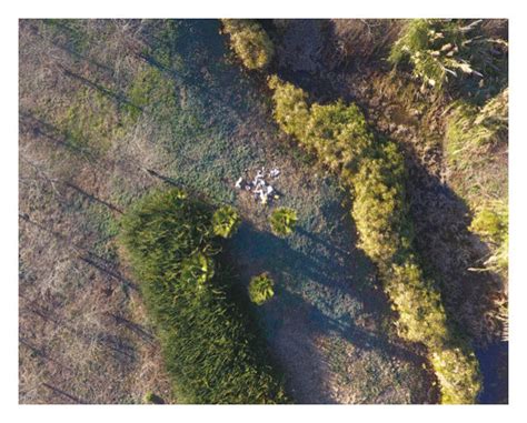 False And Missed Detection Samples Detected By Other Deep Learning Models Download Scientific