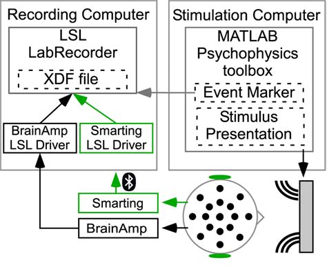 The Stimulus Presentation Was Controlled By The Psychophysics 3 Matlab Download Scientific