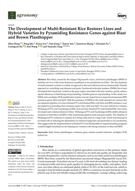 Pdf The Development Of Multi Resistant Rice Restorer Lines And Hybrid Varieties By Pyramiding