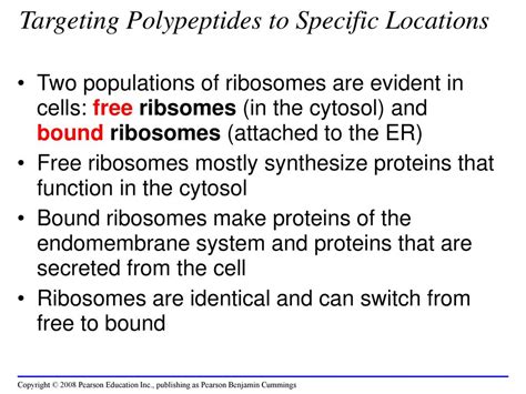 Ch Review Ppt Download