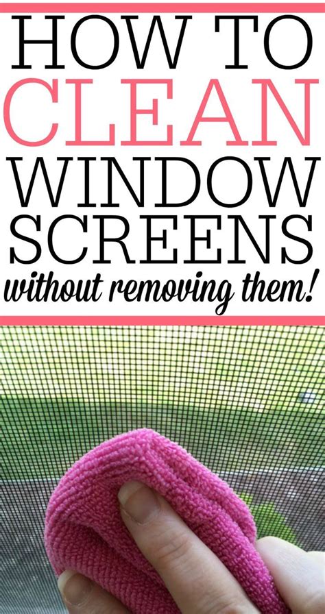 How To Clean Your Window Screens Cleaning Window Screens Window Cleaner House Cleaning Tips