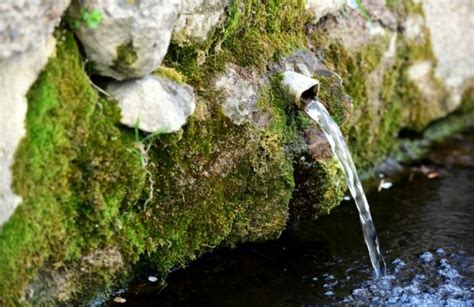 What Is Spring Water And Is It Good For You