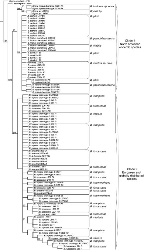 Strict Consensus Tree Based On The Combined Dataset Of The Pruned Download Scientific Diagram