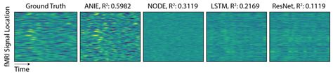 Example Dynamics Of Fmri Data Each Image Represents Time On The X Axis Download Scientific