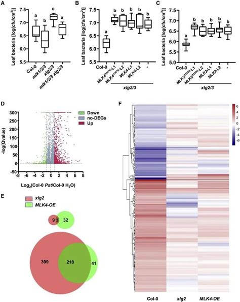 Cell Host And Microbe 中科院遗传发育所周俭民团队研究揭示植物免疫受体的信号调控机制！ 知乎