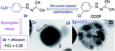 Effect Of New Carbonyl Cyanide Aromatic Hydrazones On Biofilm