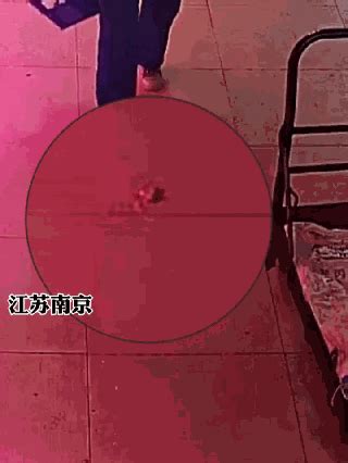 随手扔下一小块猪肉代价2万元 绍兴网