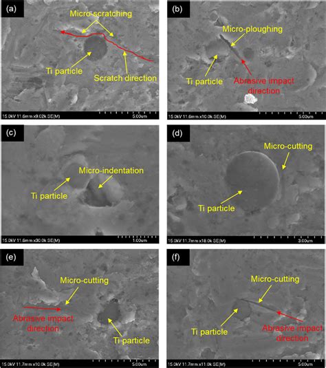 Sem Micrographs Of Interactions Between Ti Particles And Various Download Scientific Diagram