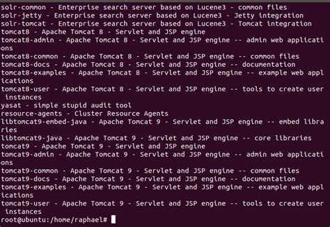 How To Install Apache Tomcat On Ubuntu Techdirectarchive