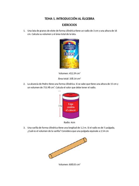 Tema 1 Introducción Al Álgebra Pdf