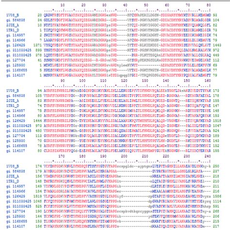 Protein Sequence Lactase