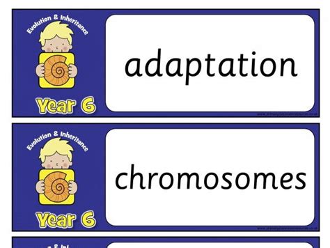 Year 6 Science Vocabulary Evolution And Inheritance Teaching Resources