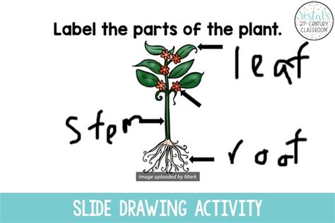 Create Interactive Powerpoint Presentations With Classpoint