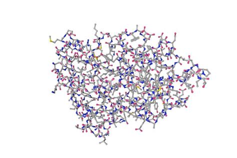Estrogen Related Receptor Gamma Ligand Binding Domain In Complex With Bisphenol A Molecular