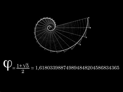 Fibonacci Spiral In Mathematics Fibonacci Spiral In Mathematics