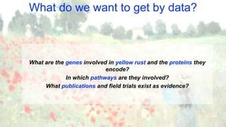 Agrifood Data Models Standards Tools Use Cases Ppt