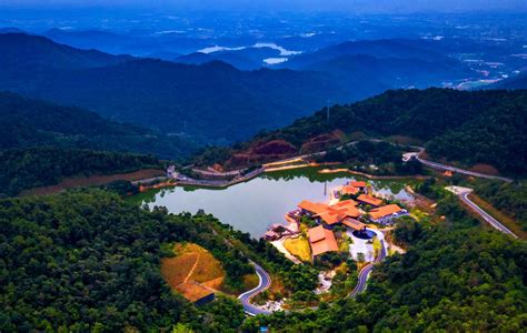 从落叶，到归根，从铭记，到传承 知乎