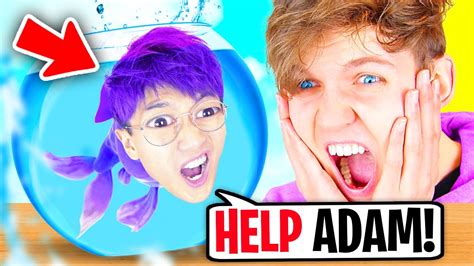 NOOB Vs PRO Vs HACKER In I AM FISH ALL LEVELS YouTube