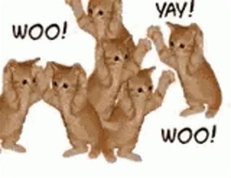 Cat Yay S Tenor