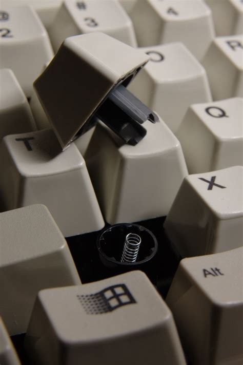 Buckling Spring Alchetron The Free Social Encyclopedia