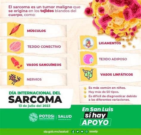 Servicios De Salud Llama A Concientizar E Informar Sobre El Sarcoma Opinion Publica S L P