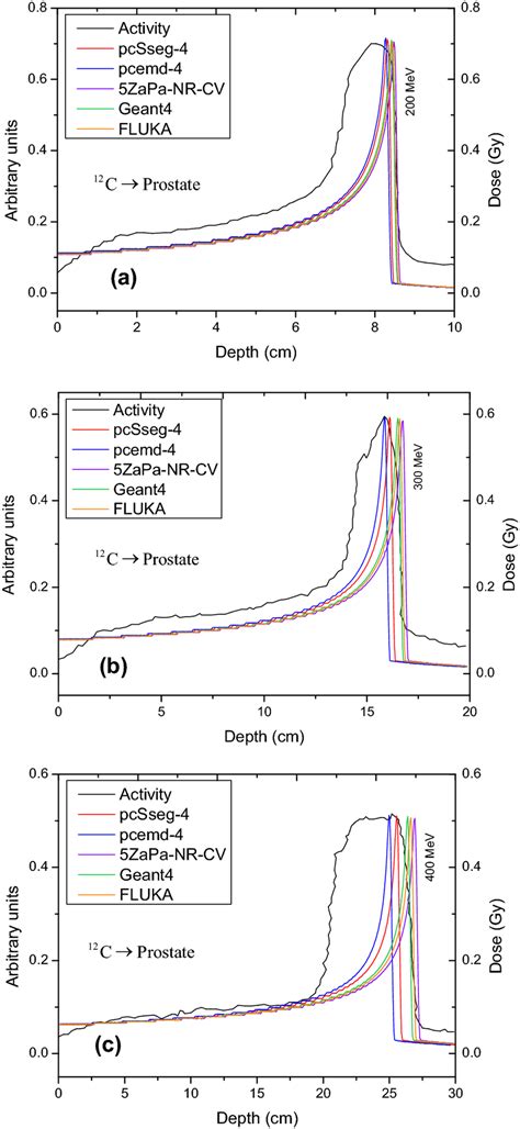 Depthdose Distributions And Depth Dependent Activity Of Positron