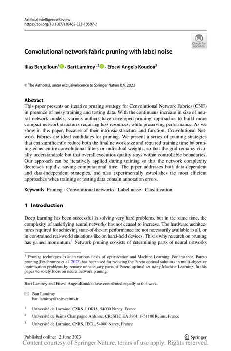 Convolutional Network Fabric Pruning With Label Noise