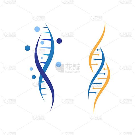 Dna