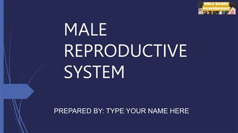 Anatomy Reproductive System For Grade 10 Ppt