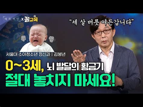 3년이면 뇌가 완성된다 아이의 미래를 결정짓는 부모의 역할 김붕년 뇌발달 애착형성 자녀교육 부모교육ㅣ0 3세
