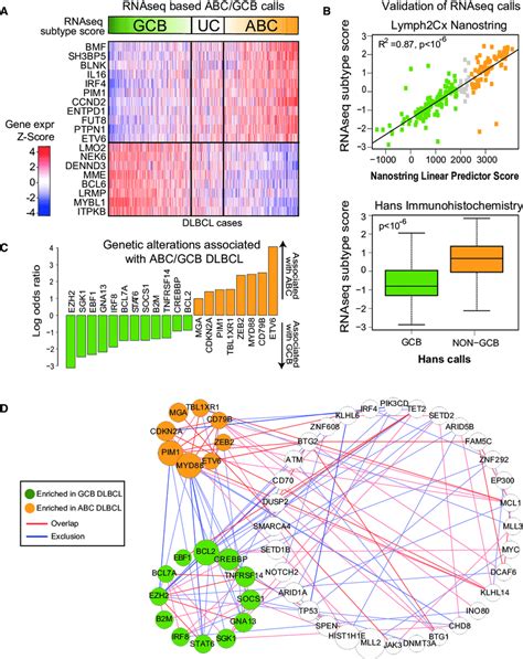 Abcgcb Based Classification Of Dlbcl A Rna Seq Gene Expression