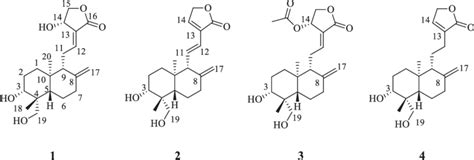 Biologically Active Compounds In Andrographis Paniculata Download Scientific Diagram