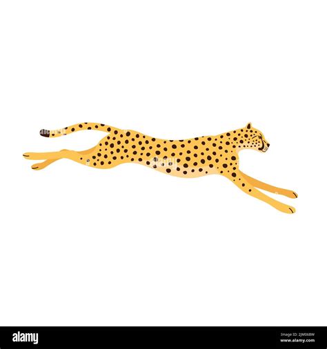 Vector Flat Jumping Cheetah Isolated On White Background Stock Vector