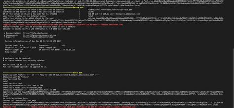 How To Create A User On Linux Ec2 Instance On Aws And Add A Public Key To It Using A Shell