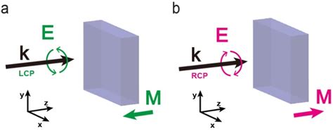 Principle Of The Inverse Faraday Effect A Circularly Polarized Download Scientific Diagram