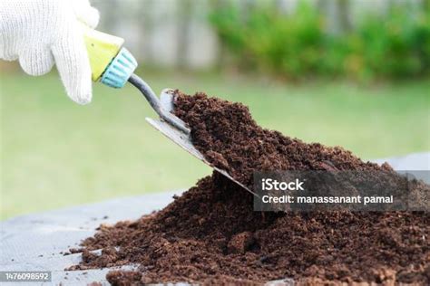 이탄 이끼 유기 농업을 위한 비료 토양 식물 재배 생태 개념 개선에 대한 스톡 사진 및 기타 이미지 개선 그런지 이미지 기법 나무 Istock