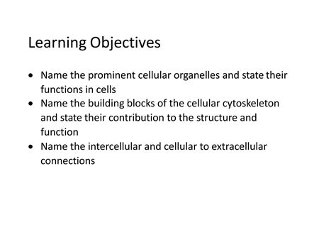 SOLUTION Functional Morphology Of Cell Studypool