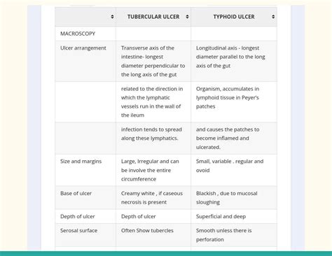 Tb And Typhoid Lesions Of Small Intestine Pptx