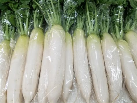 本日の入荷情報 JAくまがや