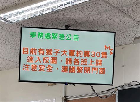 閒聊 柴山獼猴大軍下山爬進鼓山高中 PTT評價
