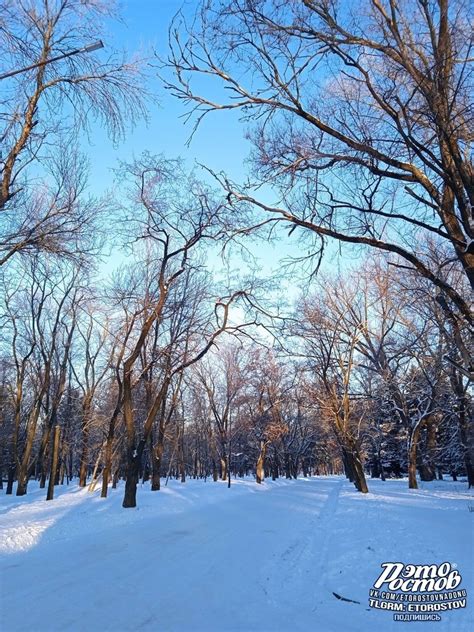 Зимний Новочеркасск Типичный Ростов Главный Папа 161