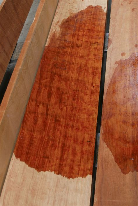 Mahogany Wood Siding At Carolyn Cotter Blog