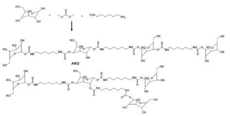 Schematic Representation Of The Formation Of Non Isocyanate