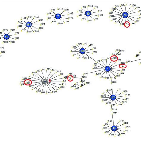 application of the eburst algorithm to mlst data for the collection